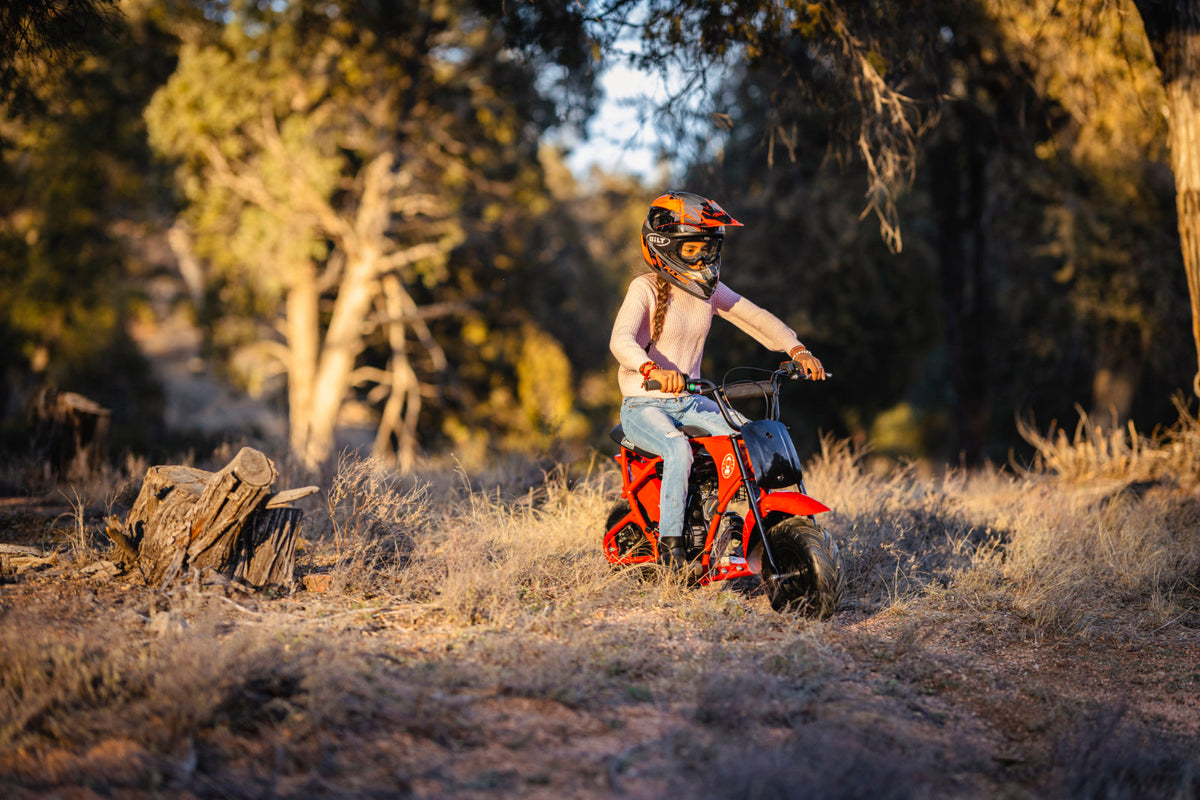 B100 MINI BIKE